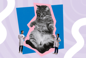 Nursing Skills on Resume - 17 Essential Examples